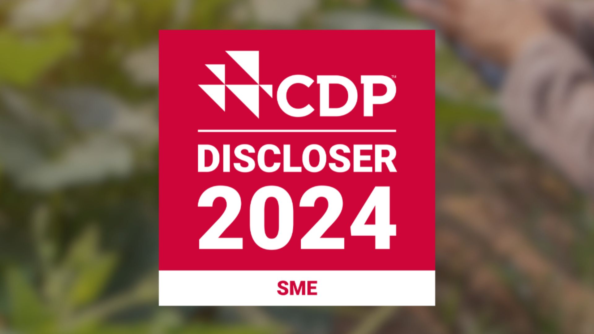 CDP Disclosure Badge 2024 - Splice Group