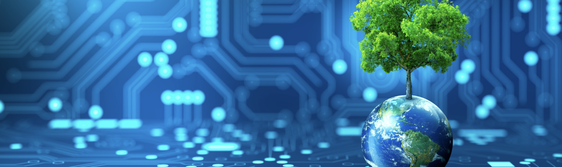 Who We Are - Splice Group